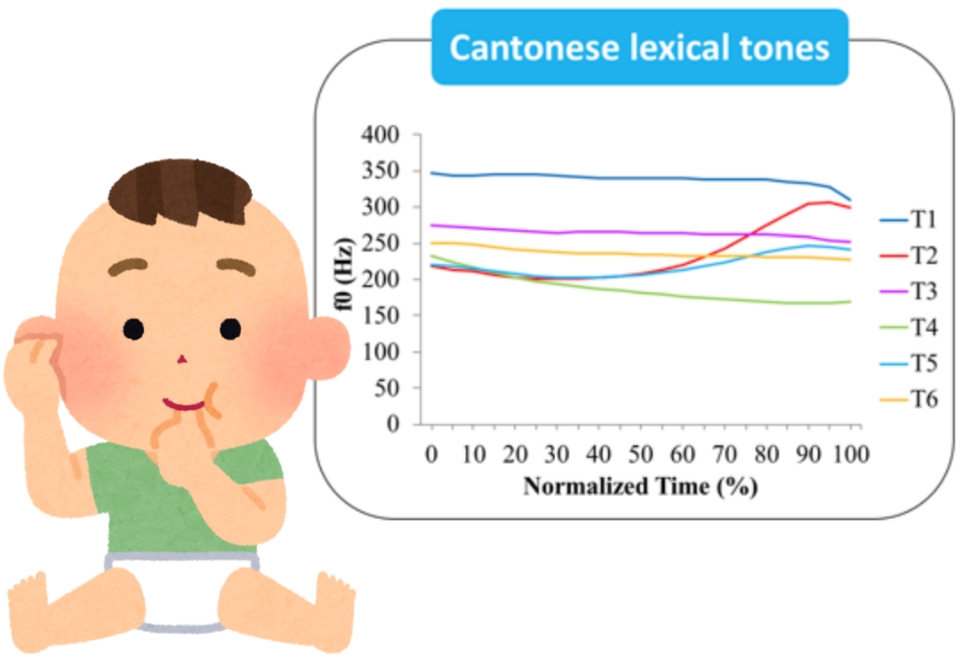 Development of tone perceptions in Cantonese-learning infants | Rachel ...